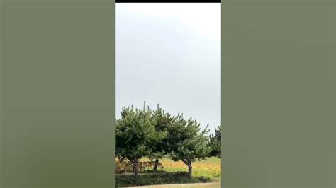 신승태 옥수수밭옆에당신을묻고 현역가왕2 순창용궐산 Youtube