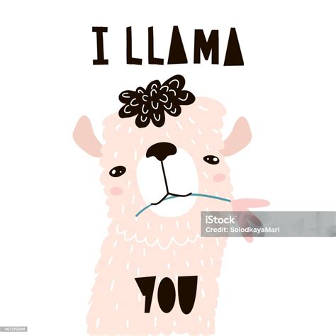 꽃에서과 귀여운 만화 라마 유치 한 Alpaka 보육 아이 들 의류 포스터 엽서에 대 한 인쇄 벡터 일러스트 레이 션 개념에 대한 스톡 벡터 아트 및 기타 이미지 Istock