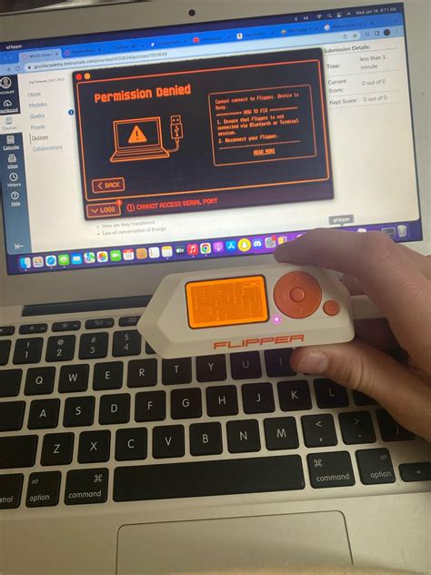 My Flipper Has Been Stuck On This Screen With A Purple Led On Over Night I Have Tried