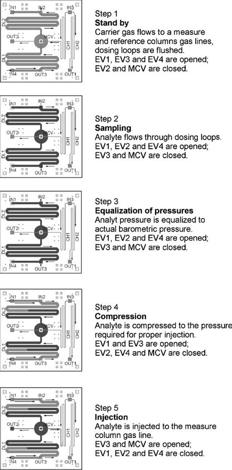 Step By Step Work Of The Injector Download Scientific Diagram