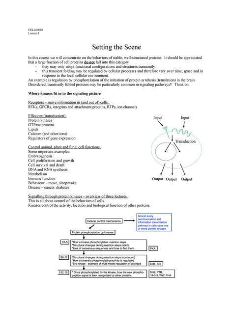 Lecture CELL Lecture Setting The Scene In This Course We Will Concentrate On The Behaviors