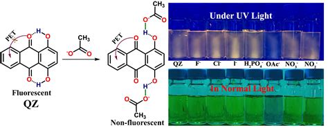 Fluorescent Dye Chemistry At Dean Anderson Blog