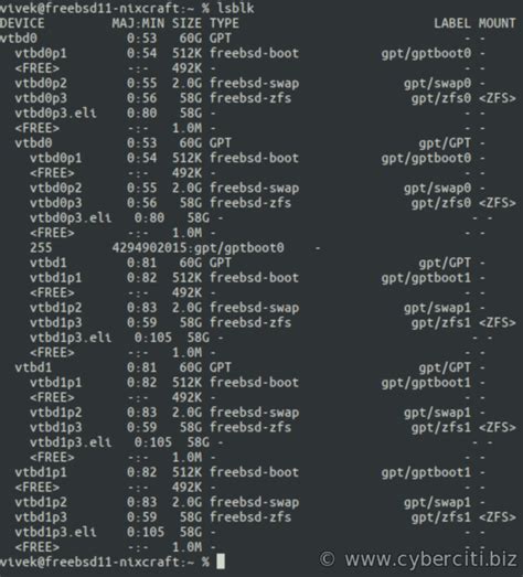 freebsd list and find out all installed hard disk size information