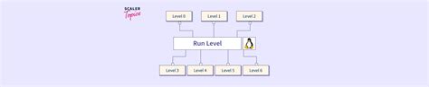 What Is Runlevel In Linux Scaler Topics