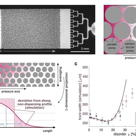 Pore Space Heterogeneity Affects Transport Dynamics A Experimental