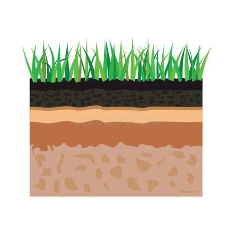 Grass Layer Stock Illustrations 3482 Grass Layer Stock Illustrations