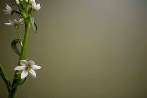 Tarif Des Massagesjoy ThaÏ Massage