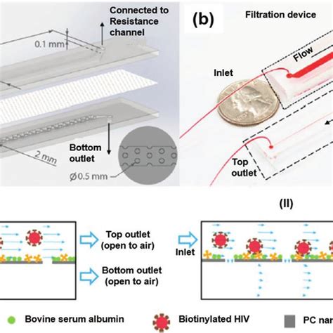 Tangential Flow Microfiltration Device For Hiv Separation A A