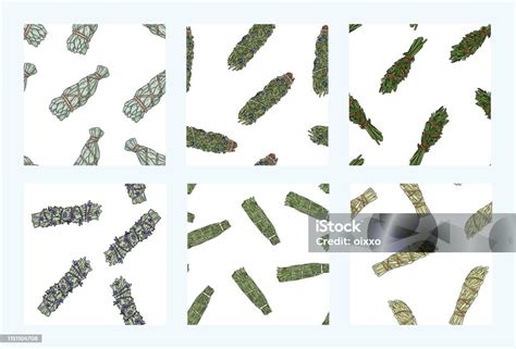 세이 지 스머지 스틱 손으로 그린 보헤미안 원활한 패턴 세트 허브 번들 배경 타일 컬렉션 연속무늬에 대한 스톡 벡터 아트 및 기타 이미지 연속무늬 란타나 카마라 0명