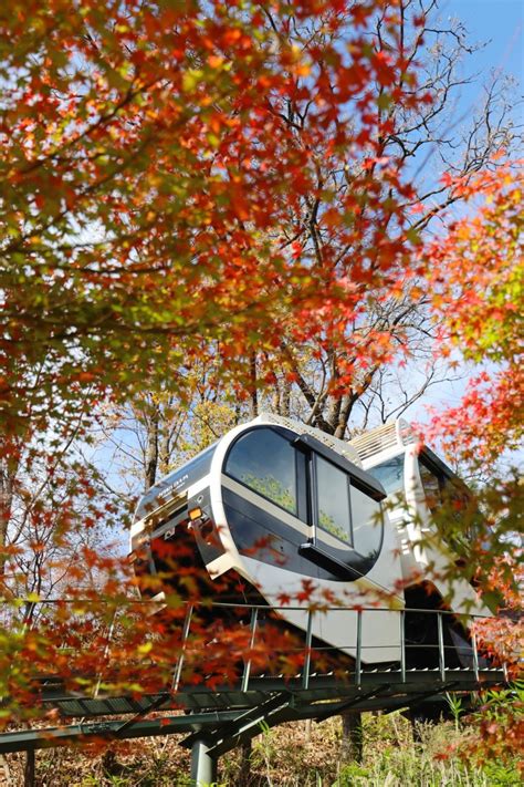 광주 곤지암 화담숲 모노레일 예약 단풍 구경 경기도 광주 가볼만한곳 네이버 블로그