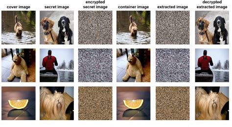 figure 11 from deep image steganography using transformer and recursive
