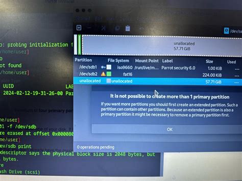 cannot create more than one partition r linux4noobs