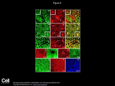 Volume 8 Issue 4 Pages April 2005 Ppt Download