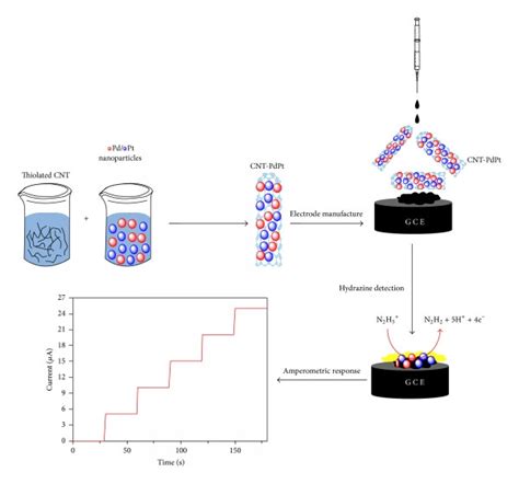Highly Sensitive Hydrazine Chemical Sensor Based On Cnt‐pdpt Nanocomposites Kim 2015