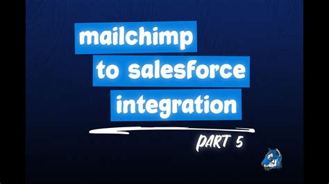 mailchimp salesforce part 5 deep dive into queries tags
