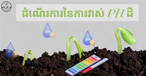ដំណើរការនៃការវាស់ Ph ដី នាទីកសិកម្ម Kaksekam Time