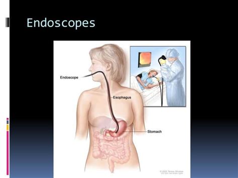 Total Internal Reflection And Critical Angle Pptx Physics Science
