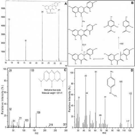Amine Terminated Second Generation Polyamidoamine Pamam Dendrimer Download Scientific Diagram