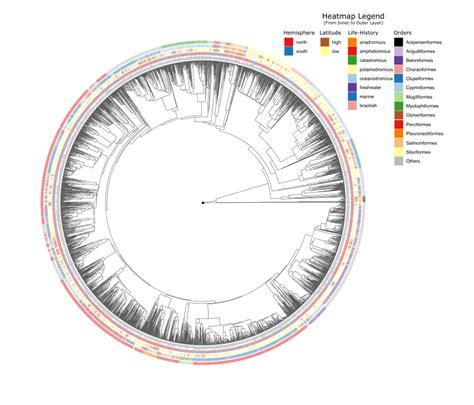 Phylogenetic Tree Of All Actinopterygii Within The Dataset For Each