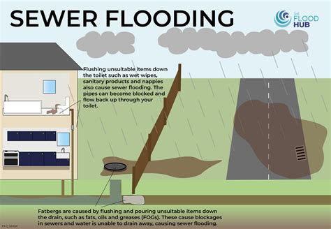 Am I At Risk The Flood Hub