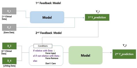 Deep Neural Network Algorithm Feedback Model With Behavioral