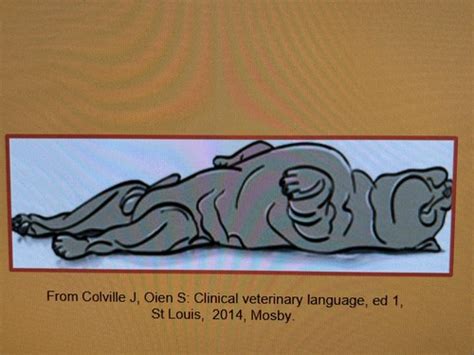 Final Flashcards Quizlet