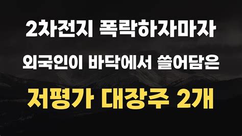주식 2차전지 폭락하자마자 외국인이 바닥에서 쓸어담은 저평가 대장주 2개 2차전지관련주2차전지전망엘앤에프에코프로비엠