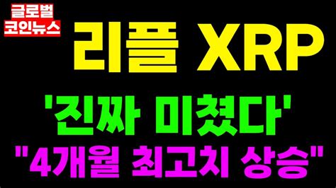 리플 Xrp 엑스알피 긴급속보 진짜 미쳤다 4개월 최고치 상승 Youtube