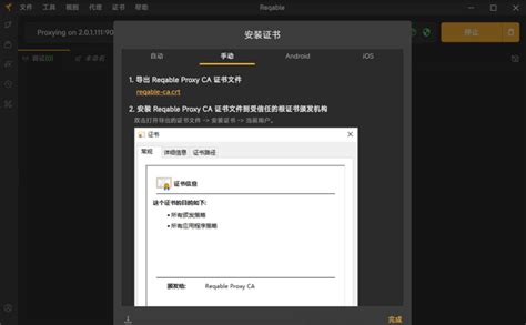 新一代api调试与测试一站化解决方案 Reqablereqablecsdn Csdn博客