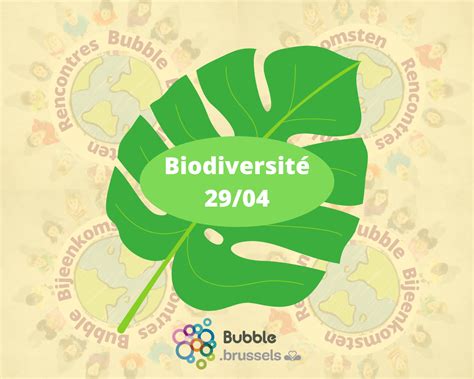 Bil Rencontres Bubble