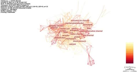 Map Of Co Occurring Keywords Related To Piezos Research Download