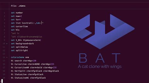 BAT A Cat Clone With Wings YouTube