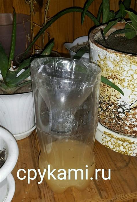 Ловушка для насекомых без вредных химикатов