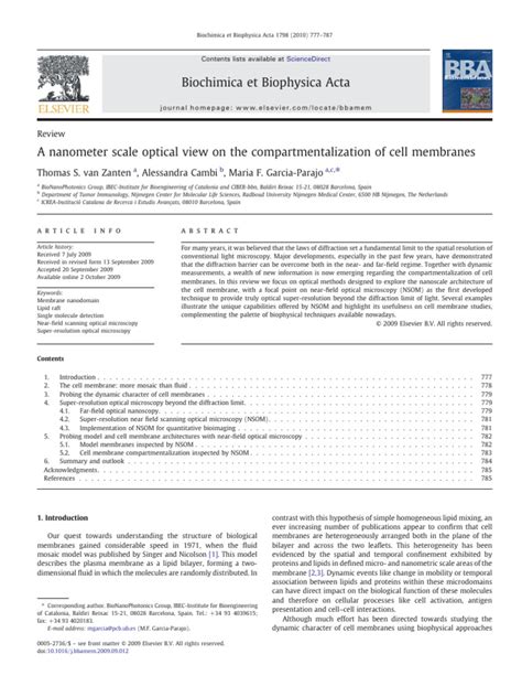 A Nanometer Scale Optical View On The Compartmentalization Of Cell Membranes Pdf Microscopy
