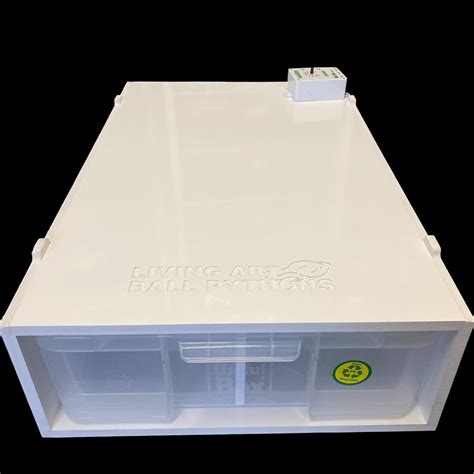 33 Litre Ball Pythons Set Up Kit Living Art Ball Pythons