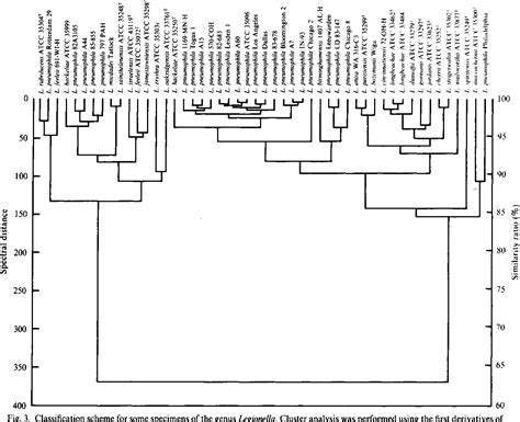 Figure 3 From Classification And Identification Of Bacteria By Fourier Transform Infrared