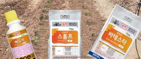 제초제 종류 사용법 효과 제초 전 참고사항 총정리 네이버 블로그