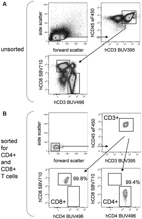 Cell Sorting Flow Cytometric Analysis And Sorting Of Human Peripheral