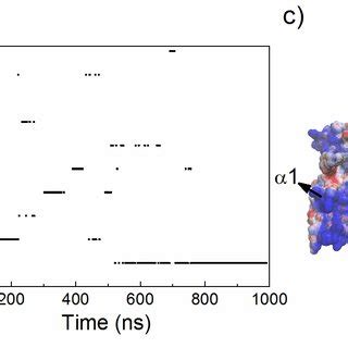 Configurations Of C Raf RBD CRD In Solution A Starting Configuration Download Scientific