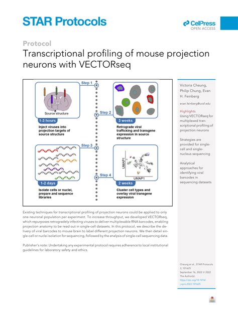 Pdf Transcriptional Profiling Of Mouse Projection Neurons With Vectorseq