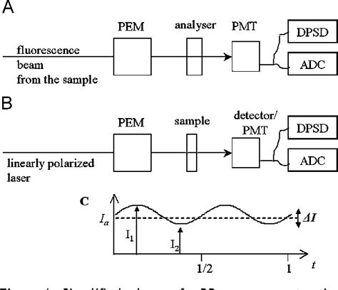 figure 3 from imaging anisotropy using differential polarization laser