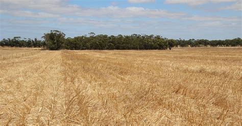 Handy Add On Cropping Block At Horsham Sold On The Eve Of Seeding