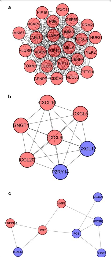 Module Analysis Of Ppi Network The Red Node Represents The