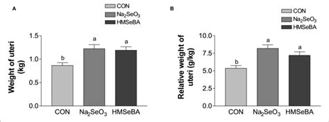 Effects Of Dietary Selenium Supplementation On The Weight Of Uteri Download Scientific