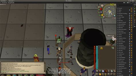 Linux Client Ammo Slayer Task Overlay Bug Issue Runelite Runelite GitHub