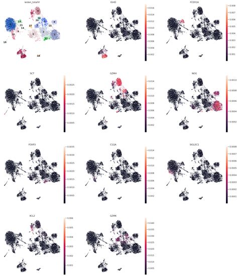 Cite Seq Analysis With Totalvi — Scvi Tools