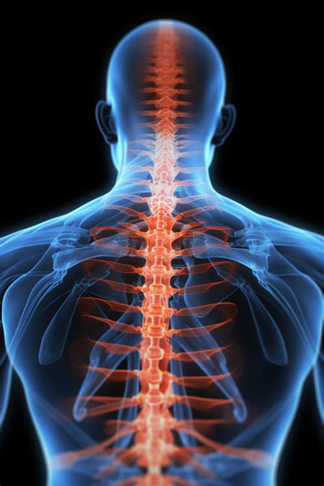 骨科诊疗素材 骨科诊疗模板 骨科诊疗图片免费下载 设图网