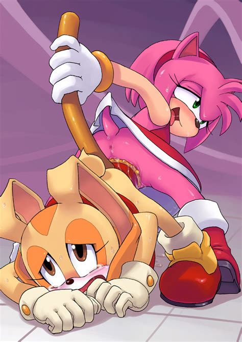 Amy Rose E Hentai Image