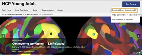 Hcp Tutorial 1 Downloading The Data — Andys Brain Book 1 0 Documentation