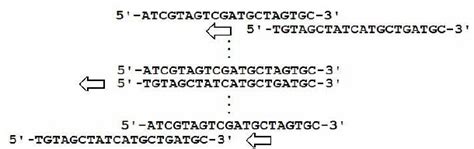 2 Illustration Of Similarity Calculation Process Download Scientific